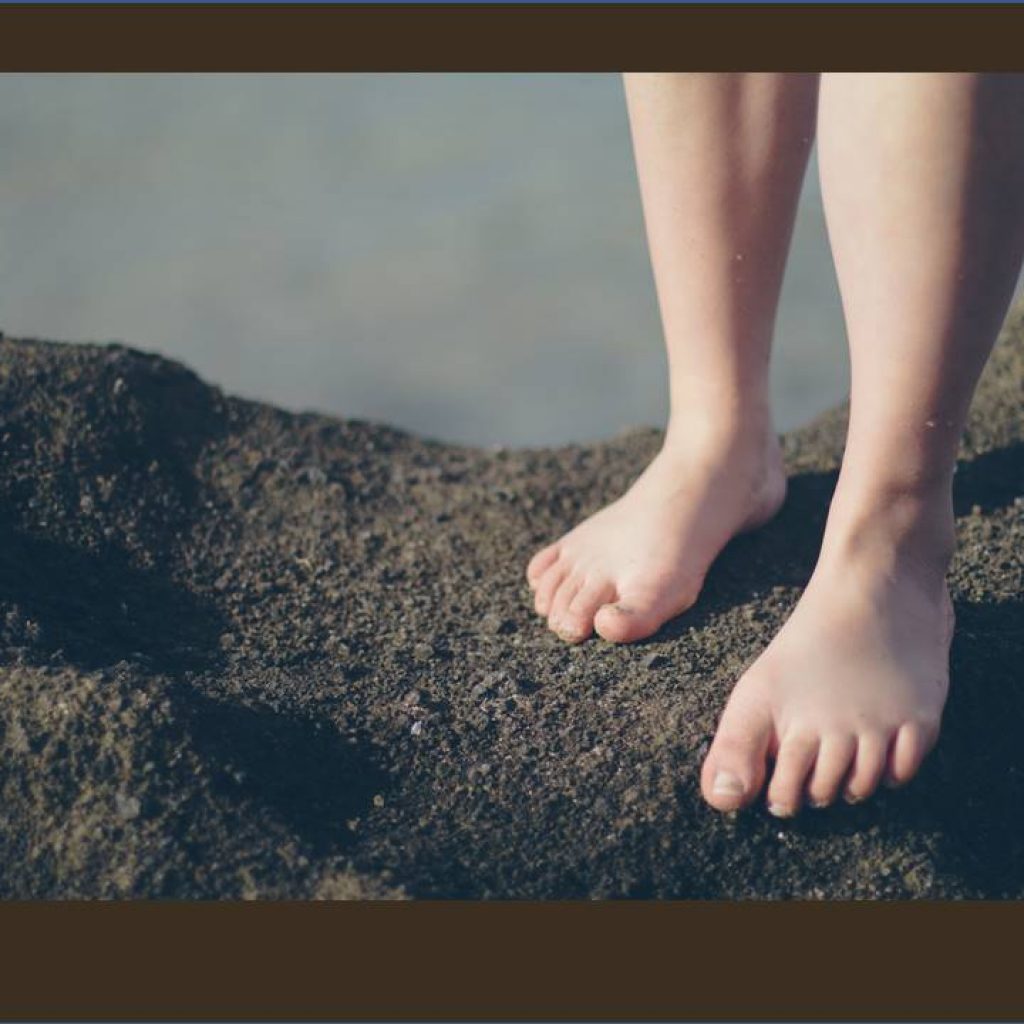 About Rolf Movement™ Integration – The Rolfing® Association of Canada